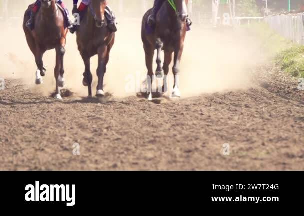 Three horses racing at a race track Stock Videos & Footage - HD and 4K ...