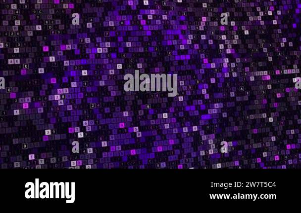 Flight over digital field of purple and pink generic numbers, seamless loop. Animation. 3D wavy ...