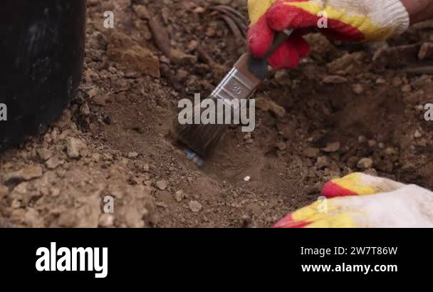 Archaeological excavations, Work of the search team at the site of a ...