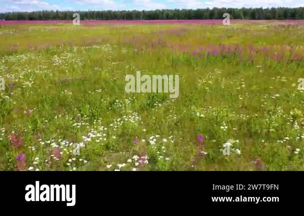 Alpine eternity Stock Videos & Footage - HD and 4K Video Clips - Alamy