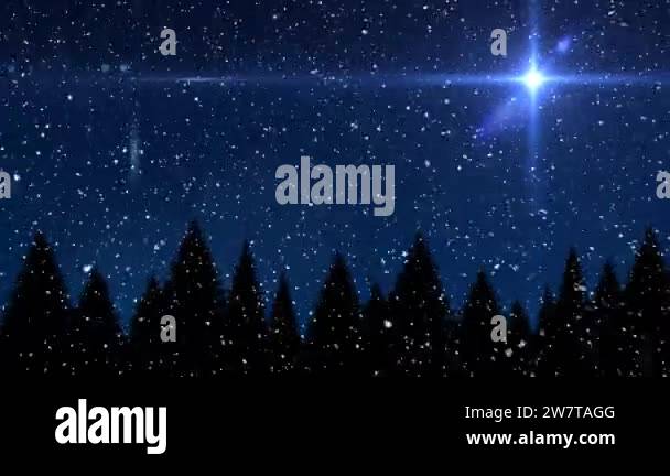 Animation of snow falling over fir trees and glowing star in winter ...