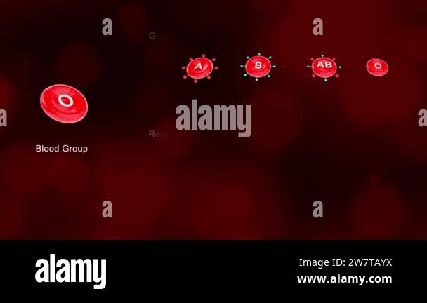 There are 4 main blood groups (types of blood) A, B, AB and O. Your ...