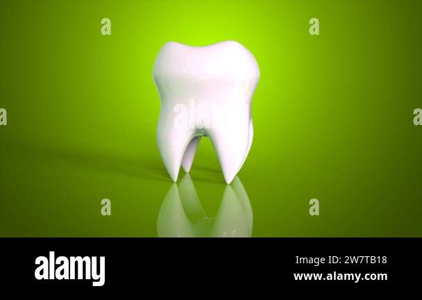 tooth cycle animation Stock Video Footage - Alamy