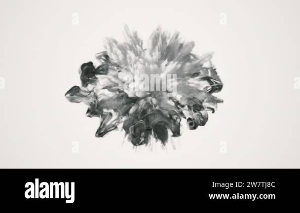 Color burst smoke powder shockwave Stock Videos & Footage - HD and 4K ...