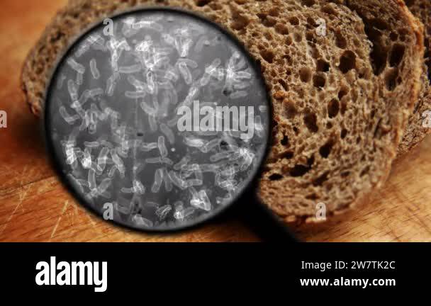 Biologic bread Stock Videos & Footage - HD and 4K Video Clips - Alamy