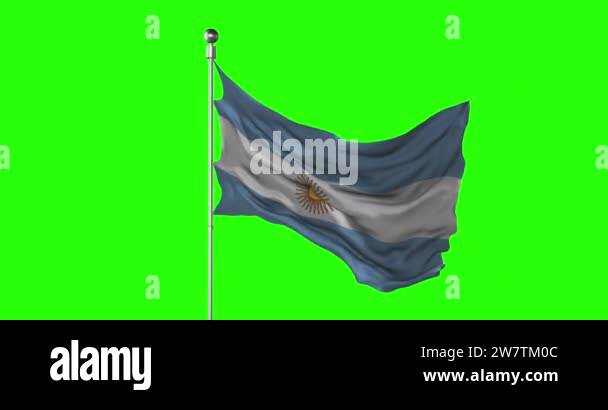 Argentina national flag waving on green screen. Chroma key animation ...