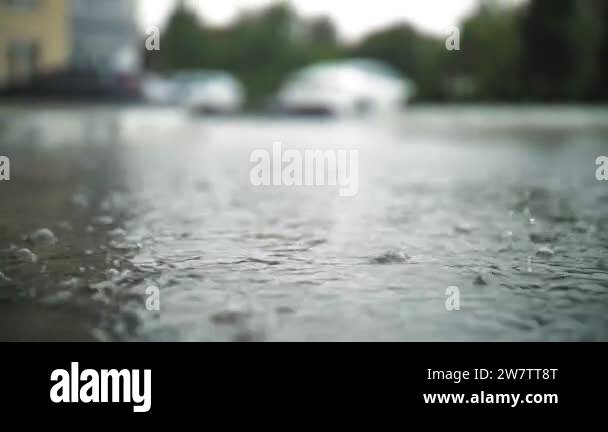 rain, puddles. raining. Water drops. rainstorm. large raindrops fall ...
