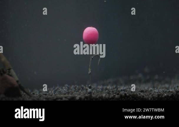 Floating hair Stock Videos & Footage - HD and 4K Video Clips - Alamy