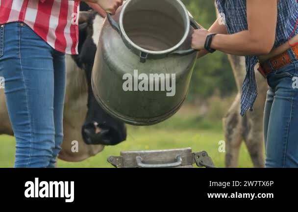cow milk fresh. close-up. Two female farmers are pouring fresh milk ...