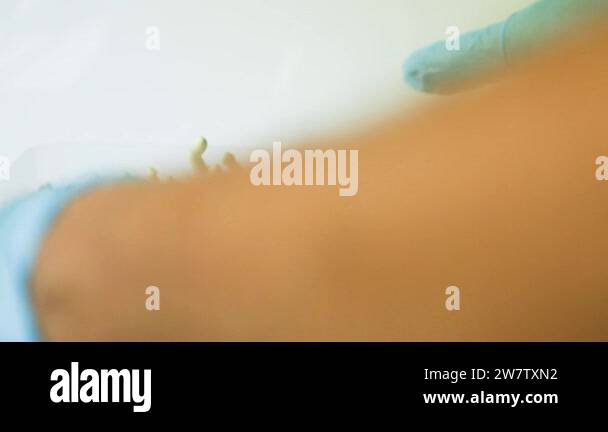 Psilocybin cubensis Stock Videos & Footage - HD and 4K Video Clips - Alamy