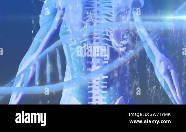 Animation of dna strand spinning over digital model of human body ...