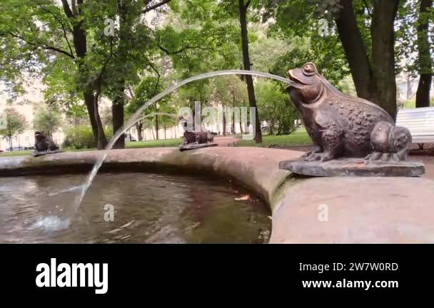 Jet frog Stock Videos & Footage - HD and 4K Video Clips - Alamy