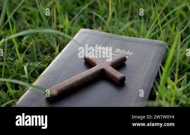 God grass Stock Videos & Footage - HD and 4K Video Clips - Alamy