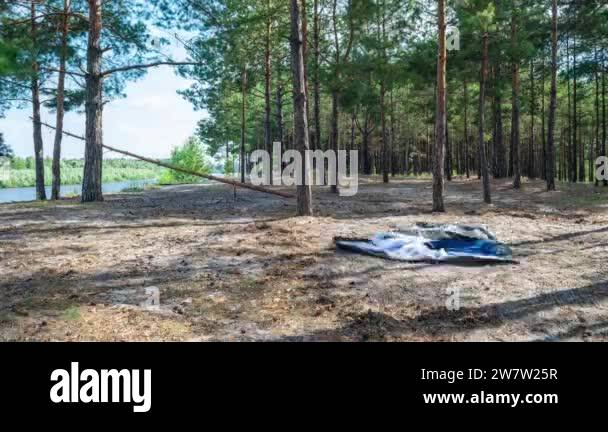 4k Magical arrangement of camping in pine forest by river. Tent, tables ...