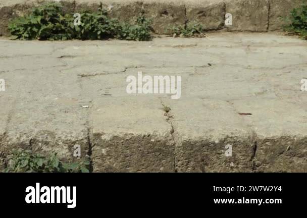 Medieval stone steps Stock Videos & Footage - HD and 4K Video Clips - Alamy