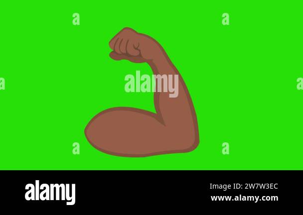 Loop animation of a brown arm contracting the bicep, on a green chroma ...