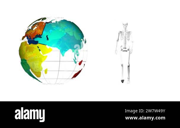 Digital animation of globe icon spinning and human skeleton walking ...