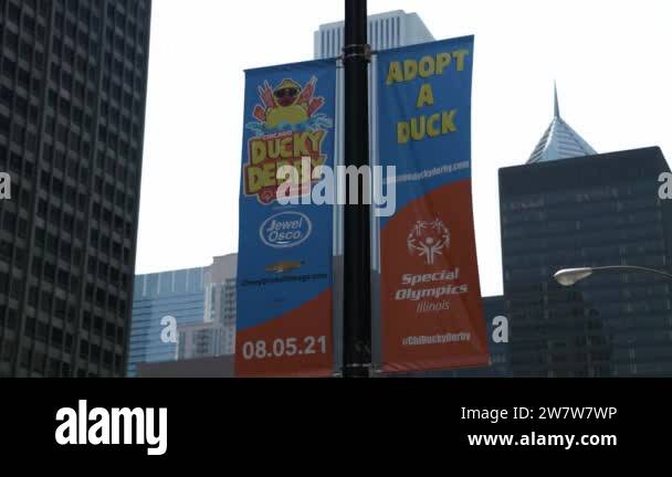 Adopt a duck Stock Videos & Footage - HD and 4K Video Clips - Alamy