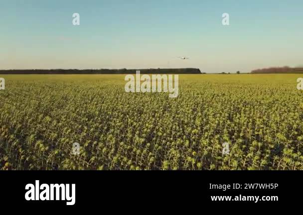 Agriculture drone scan agriculture field. Artificial intelligence and ...