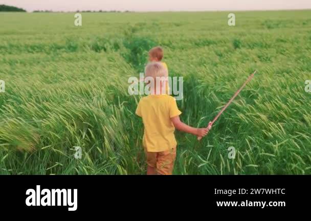 Children, boys run with swords in their hands across wheat field ...