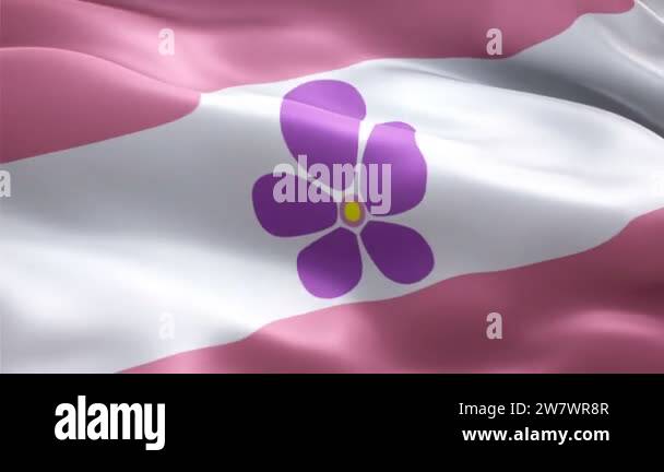 Rainbow Sapphist Pride Flag video waving in wind. Sapphic LBPQ Lesbian ...