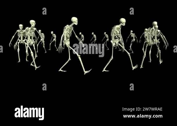 Skeleton marching in a circle. Animation footage. 3D animation of ...