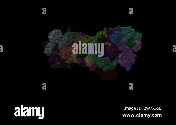 Structure of human 26S proteasome. Animated 3D cartoon and Gaussian ...