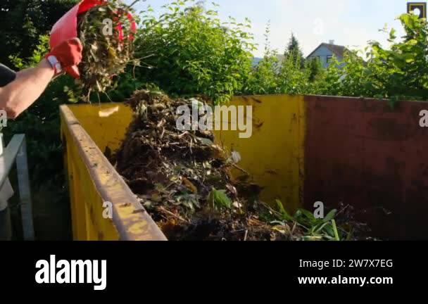 Green compost.Vegetable waste. Plants fall from the red silicone basket ...