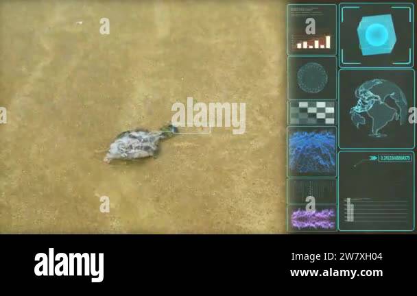 Dead computers Stock Videos & Footage - HD and 4K Video Clips - Alamy