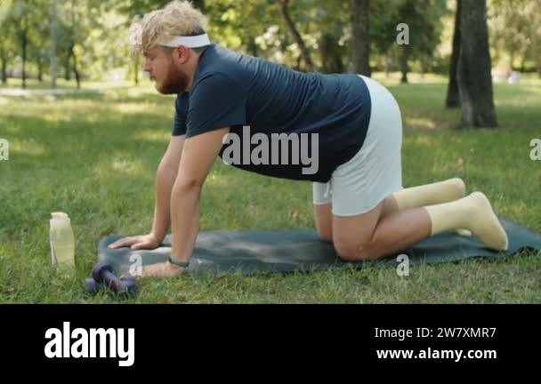 Fat cow obese Stock Videos & Footage - HD and 4K Video Clips - Alamy