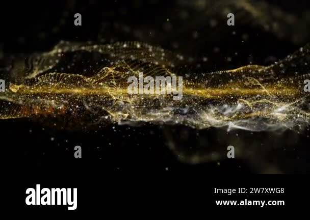 Futuristic video animation with wave object and glitter particles in slow motion, 4096x2304 loop ...
