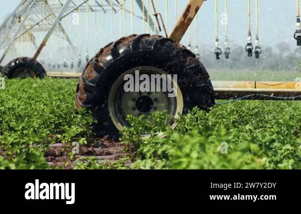 Slow moving wheels transport a giant agriculture irrigation system on ...