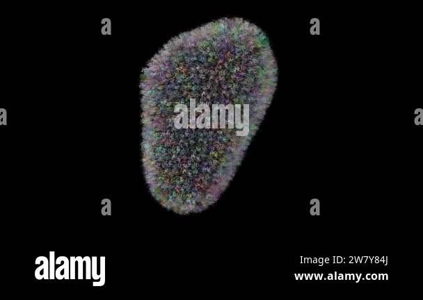 Structure of the HIV-1 capsid, animated 3D cartoon and surface models ...