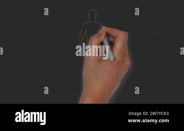 colored human body anatomy infographic Stock Video Footage - Alamy