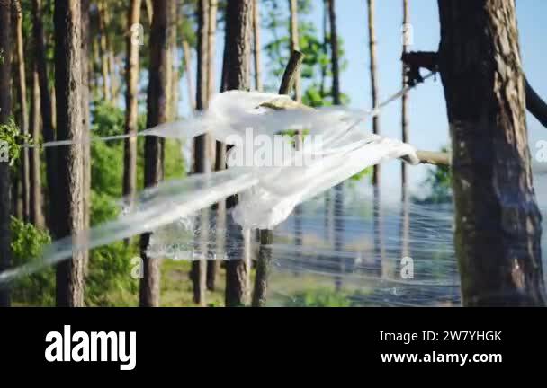 Crime scene management Stock Videos & Footage - HD and 4K Video Clips ...