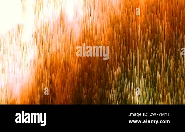 Animation with beautiful light shimmers. Motion. Beautiful background ...