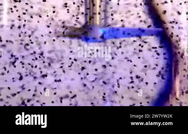 Rotating element in water column Stock Videos & Footage - HD and 4K ...