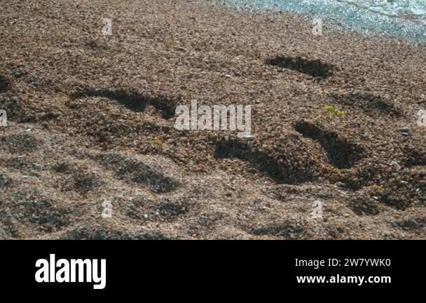 Tracks along sea line sandy Stock Videos & Footage - HD and 4K Video ...