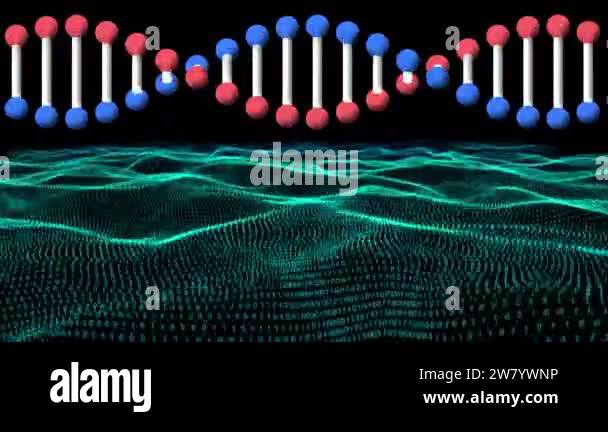 Animation of dna strand over binary coding. global social media, connections and digital ...