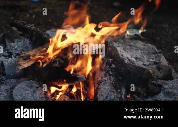 Burnt beer cans Stock Videos & Footage - HD and 4K Video Clips - Alamy