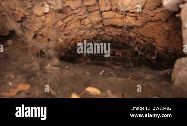 Traditional kitchens Stock Videos & Footage - HD and 4K Video Clips - Alamy