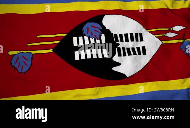 Full frame 3D animation of a Swaziland flag waving Stock Video Footage ...