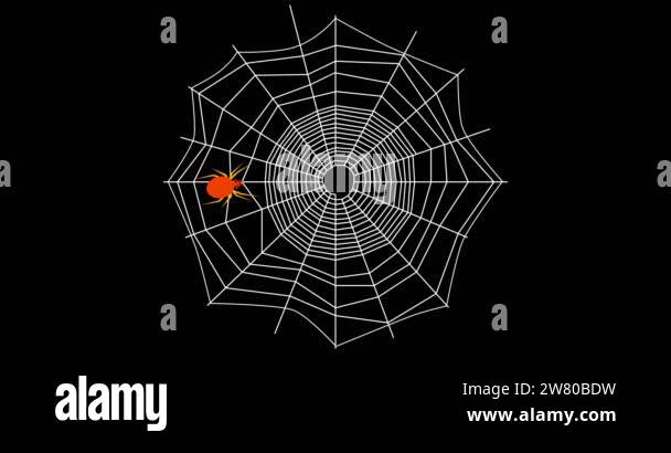 Poisonous spider crawls along web. Terrible arthropod in net waits for ...