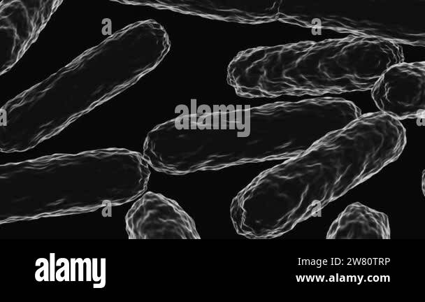4K Animation floating through microbes, bacterias in the intestine ...