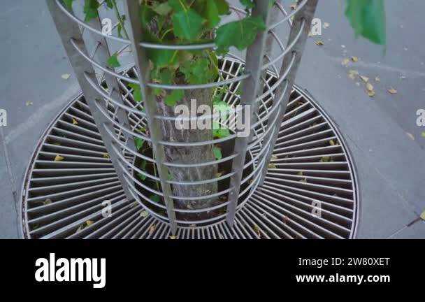 Metal barrier around city tree and barrel grille on pavement Stock ...