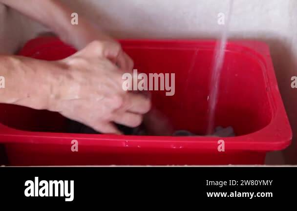 Hand washing buckets Stock Videos & Footage - HD and 4K Video Clips - Alamy