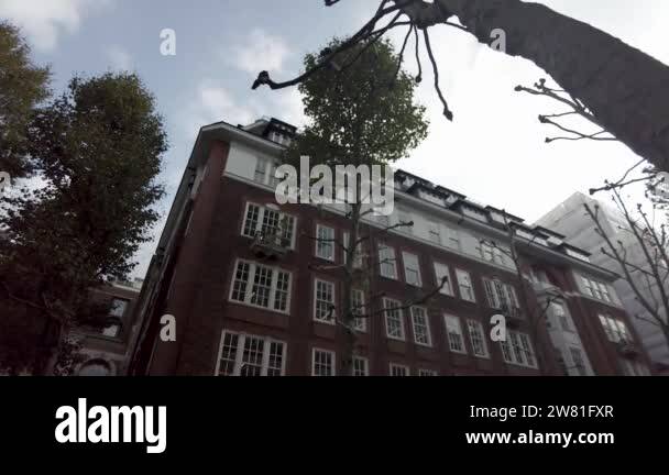 Branches Falling From Tree Cut By Arborist In Smith Square. Low Angle ...