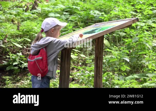 Kid on Camping in Mountains Trails, Child Reading Map in Forest, Little ...