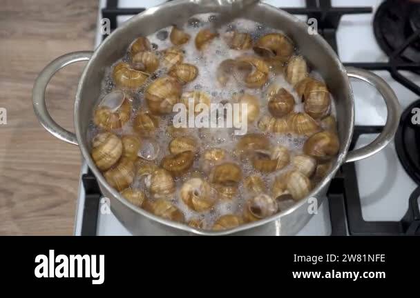 A man with a spoon mixes empty shells from garden snails in a saucepan ...