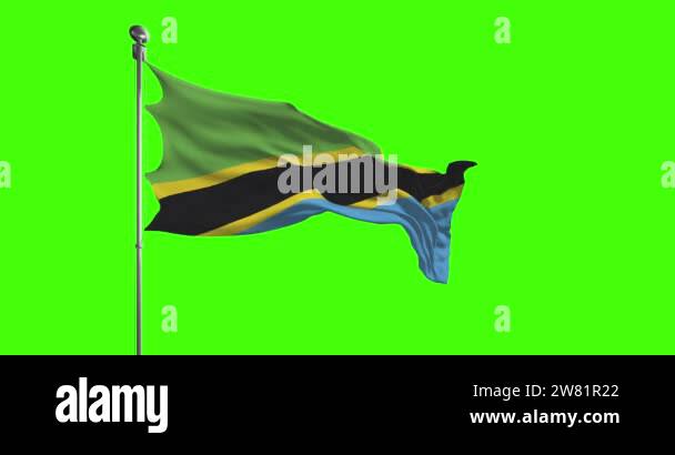 Tanzania national flag waving Stock Videos & Footage - HD and 4K Video ...